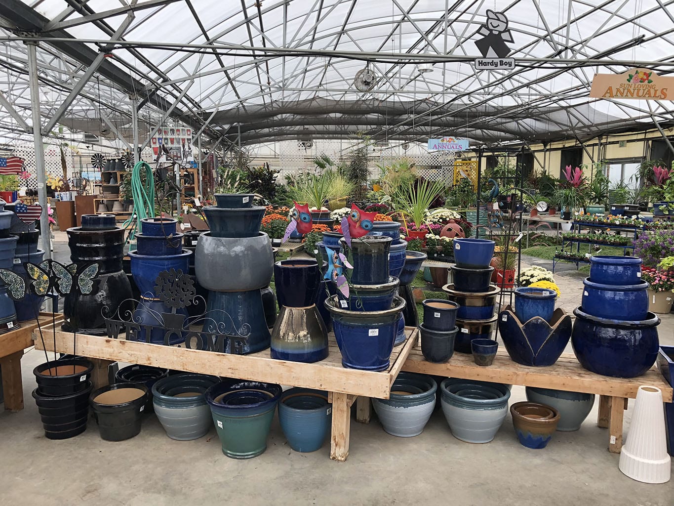 Denver, CO Plant Store